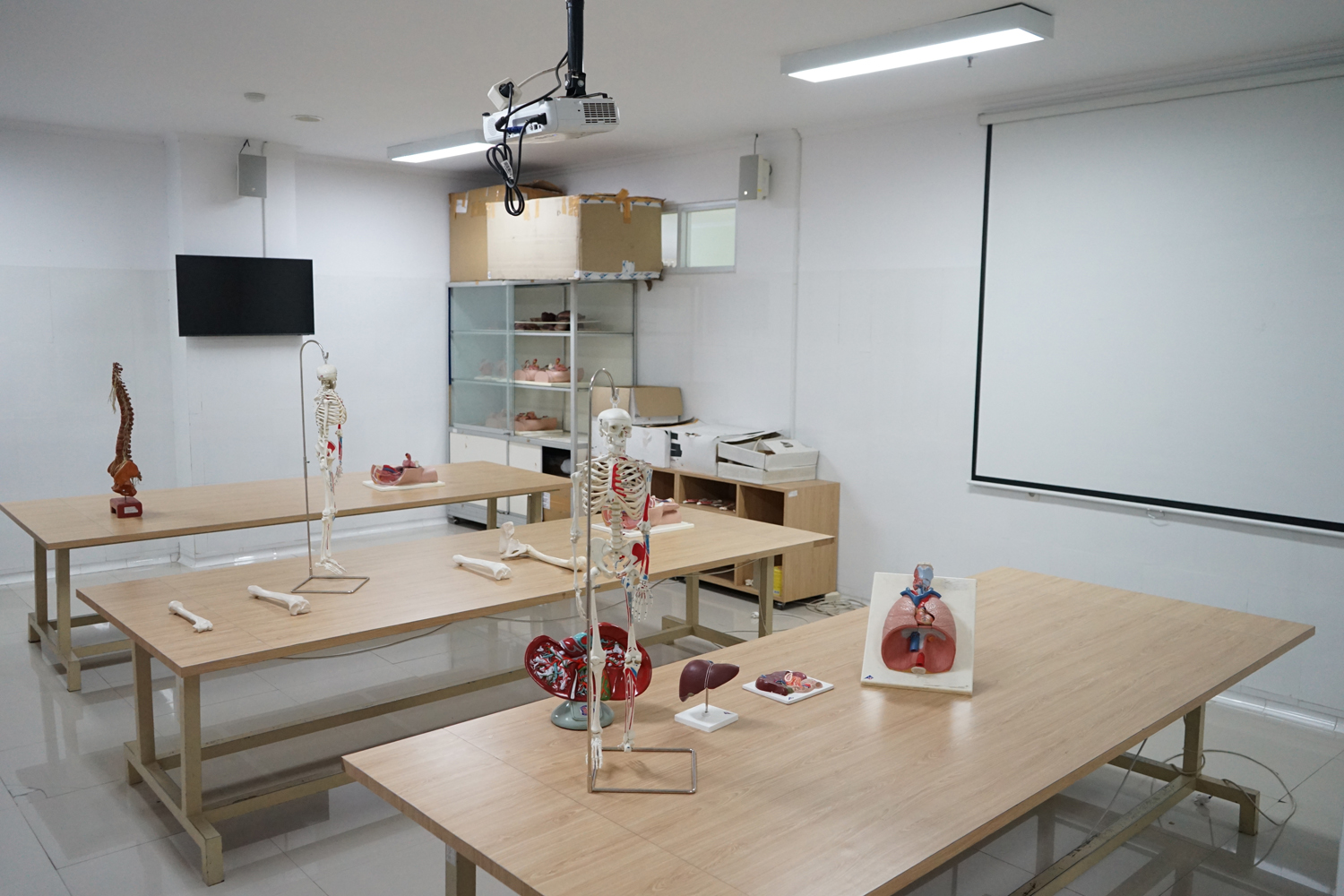 Fasilitas – Faculty of Medicine UNIMUS